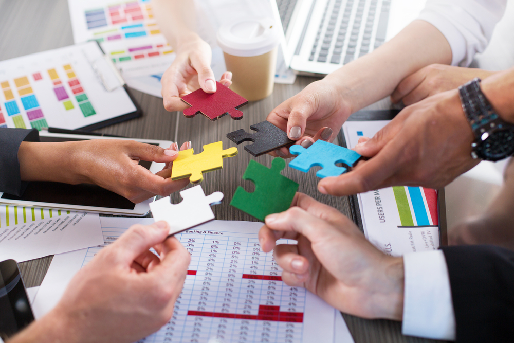 M&A Integration Strategy - Business System Alchemy